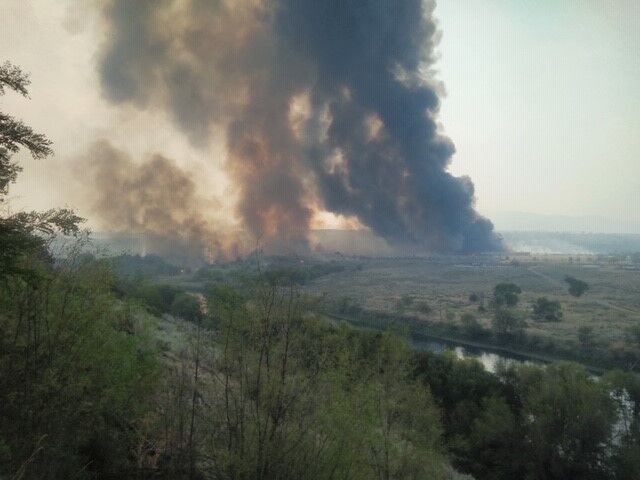 Cold Springs Fire ignites lumber mill in Omak; burning embers start ...