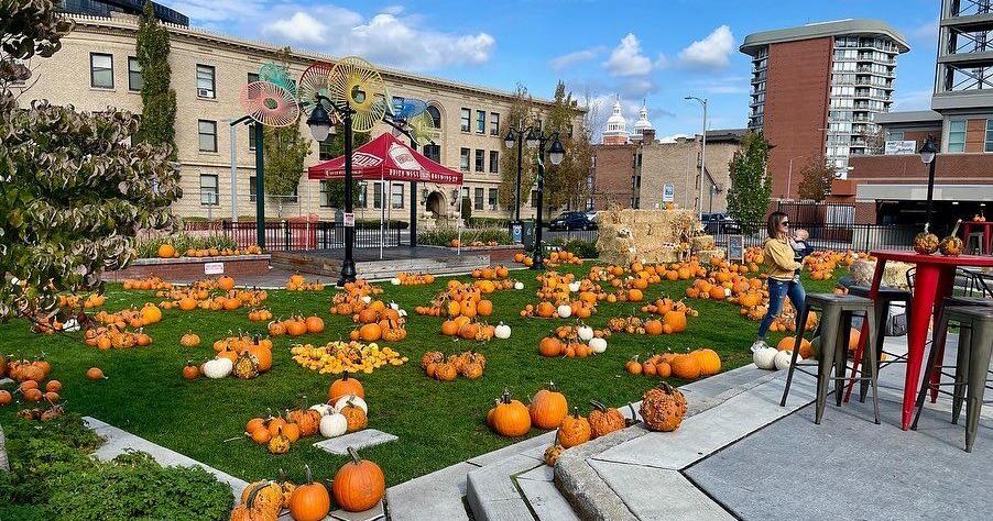 The Great Pumpkin Fest hosts family-fun event featuring over 10,000 ...