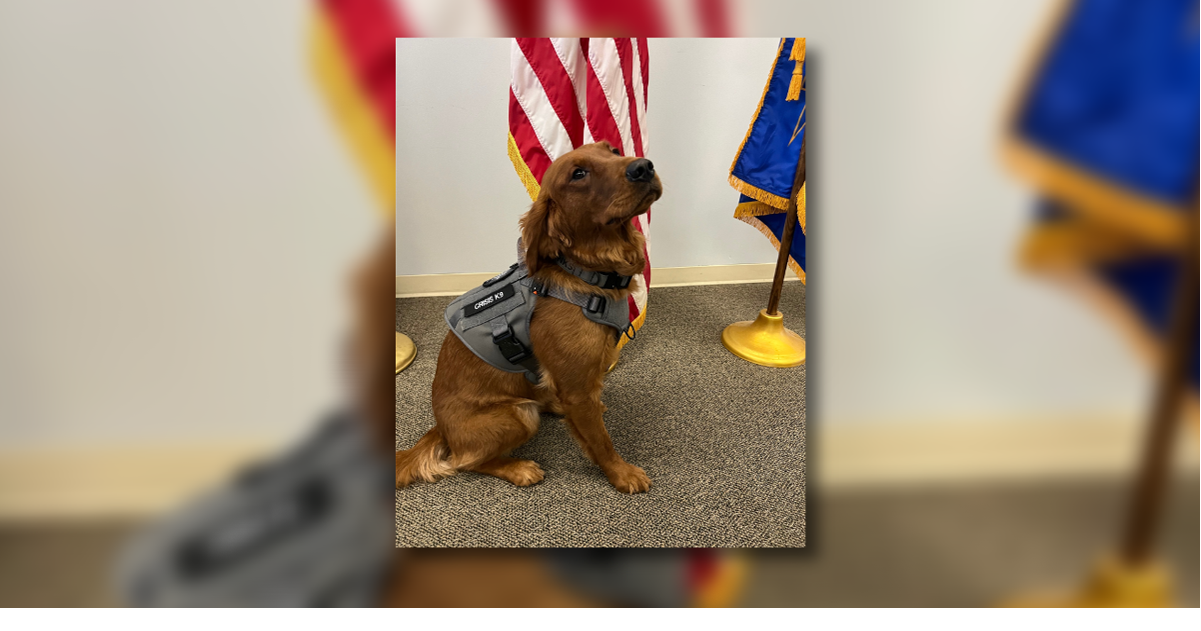 Airway Heights Police Department welcomes new K9 member | Spokane News ...
