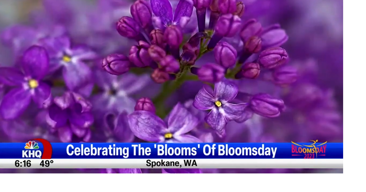 Celebrating the 'blooms' of Bloomsday | Spokane News | khq.com