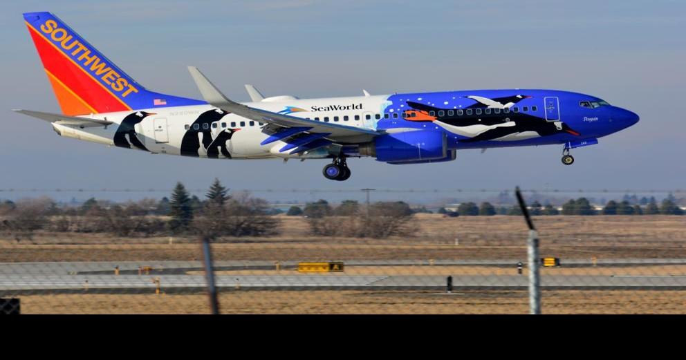 LOOK: 20 Years Of Commemorative Airplane Art From Spokane International ...