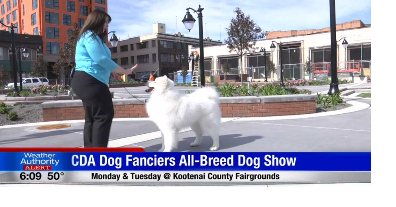 Coeur d'Alene All-Breed Dog Show | Spokane News | khq.com