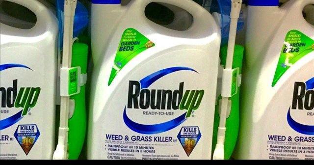 First trial over Roundup weed killer cancer claim underway | News | khq.com