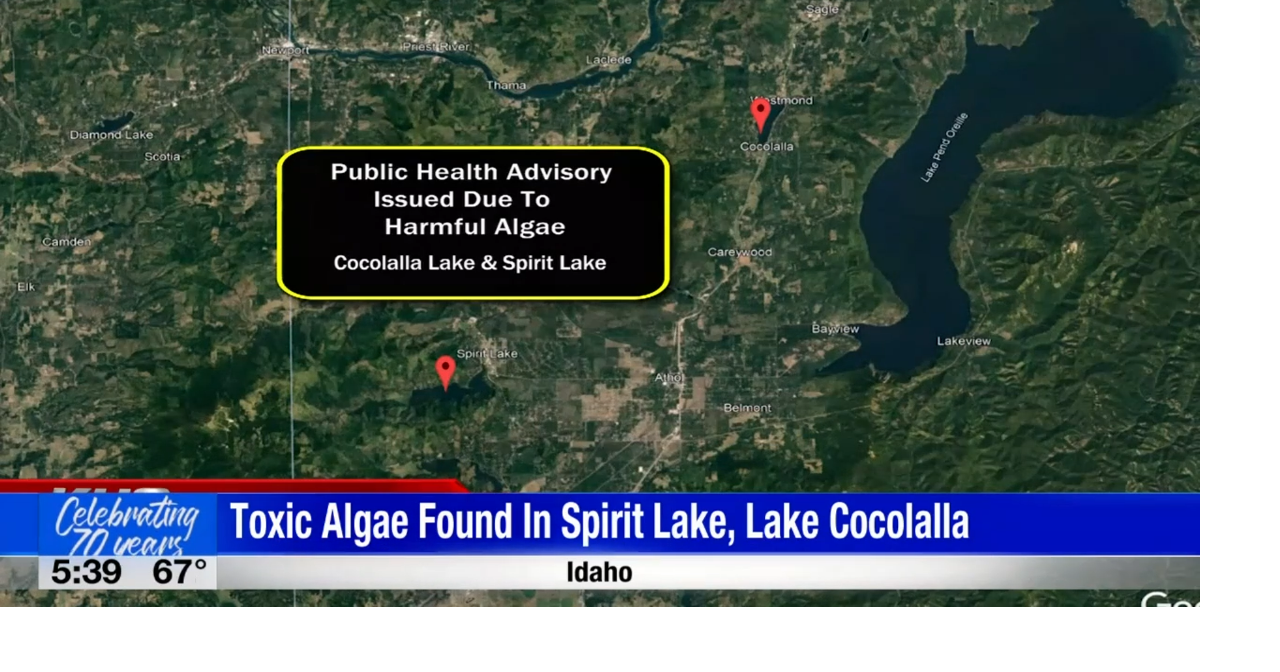 Harmful algae found in Spirit Lake and Lake Cocolalla | Idaho News ...