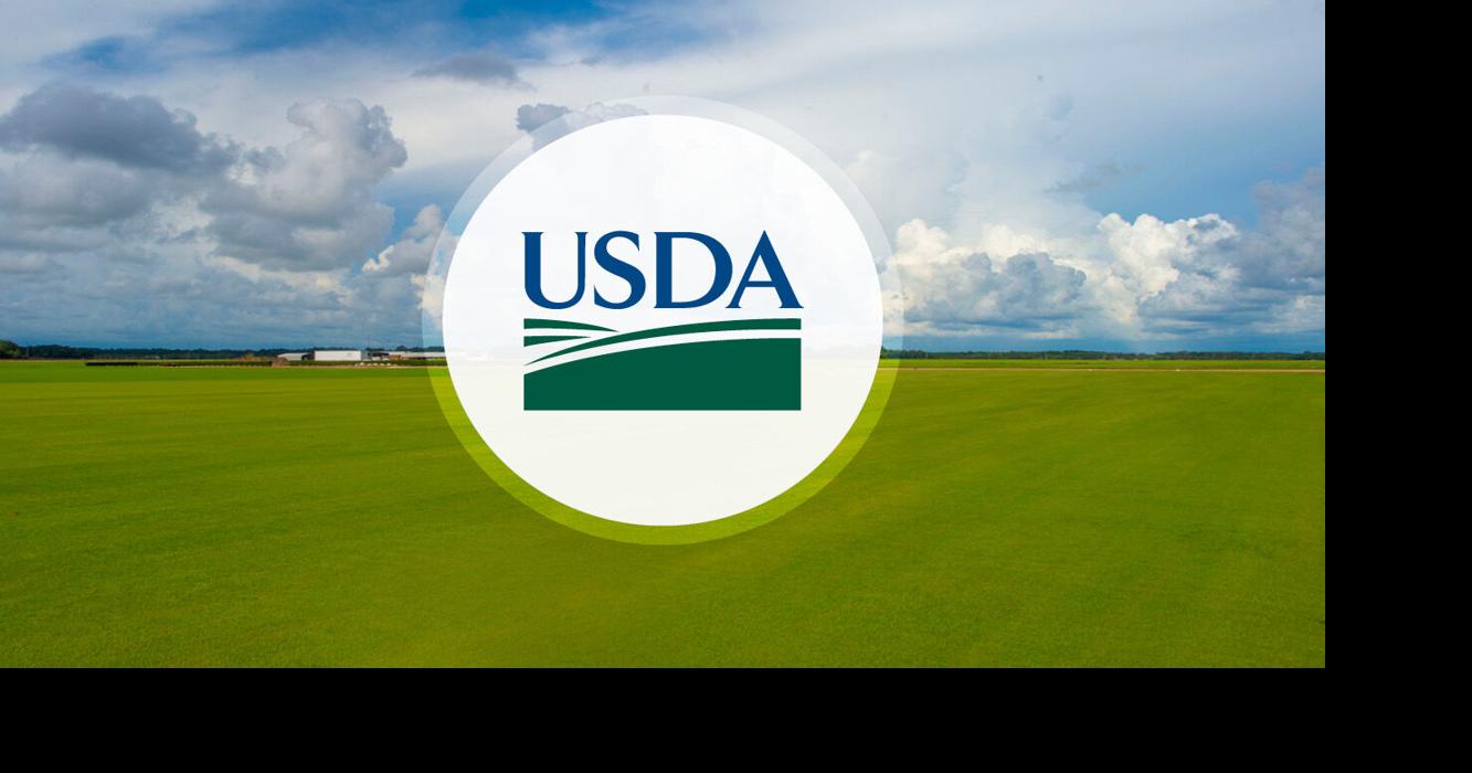 USDA invests $4.5 million to build Nutrition Hub Network | Spokane News ...