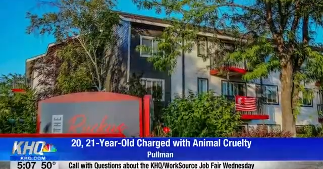 Two charged in Pullman animal cruelty case | Spokane News | khq.com