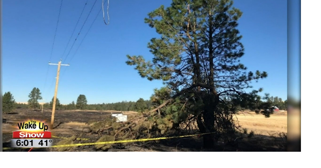Avista: Tree that caused Babb Road fire was healthy | Spokane News ...