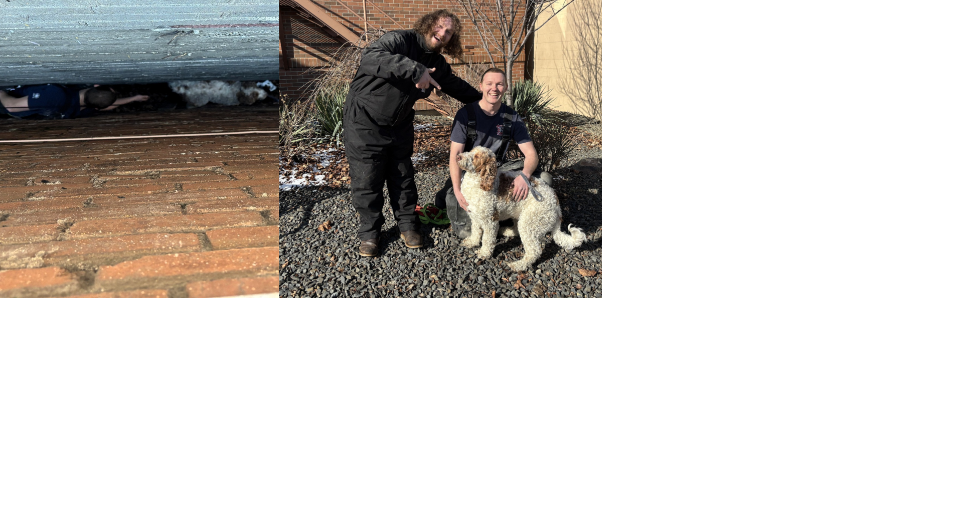 Spokane firefighters rescue dog stuck between buildings in Riverside ...