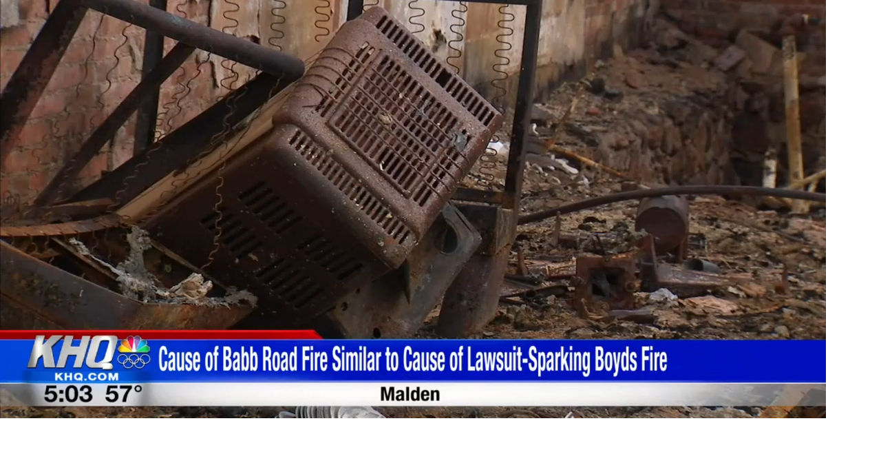 DNR investigation argues Avista overlooked sick tree leading to ...