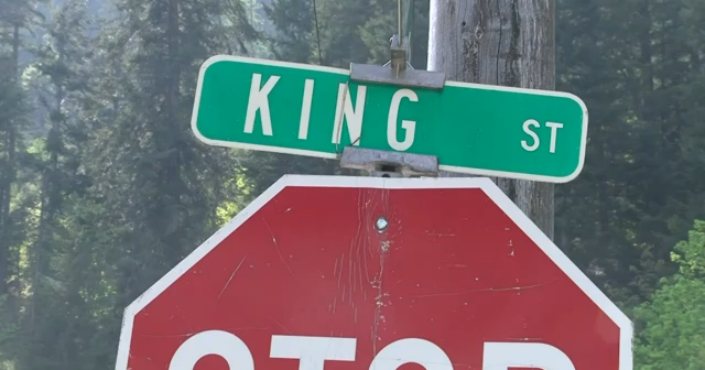 Mother and 2-year-old son found dead in apparent murder-suicide in ...