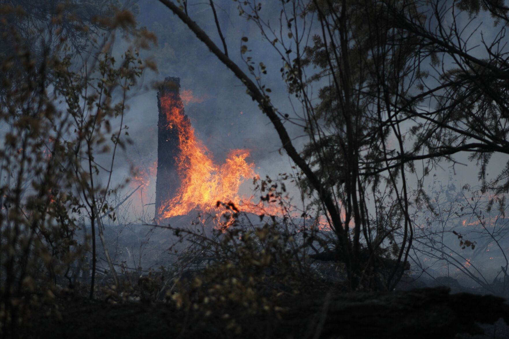 Castle Rock Fire in Stevens County 99% contained, operations returned ...
