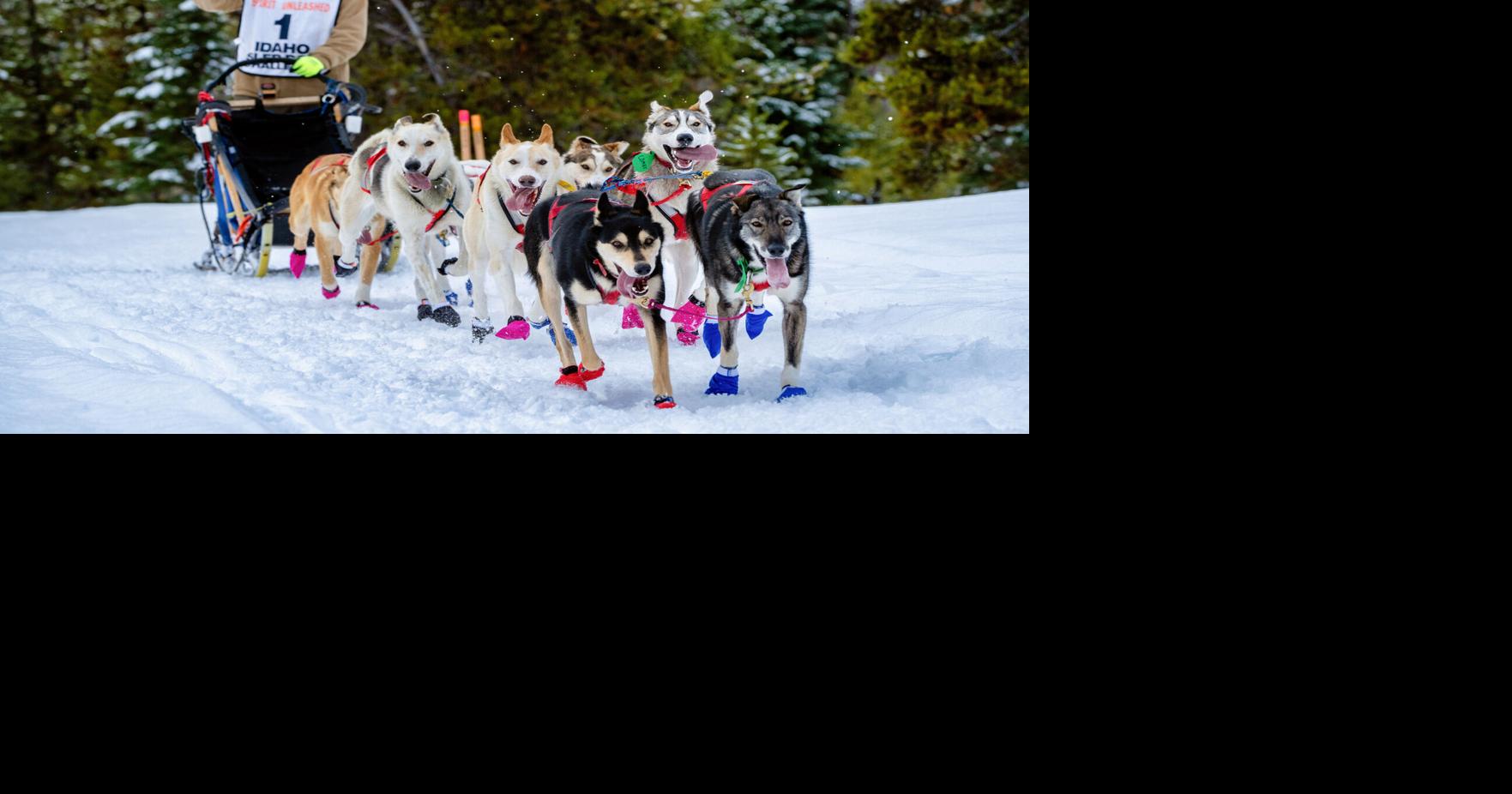 Musher Trace Drake | | khq.com