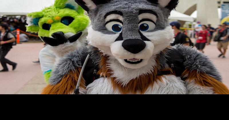 Furry convention attendees stop assault and restrain the suspect until ...