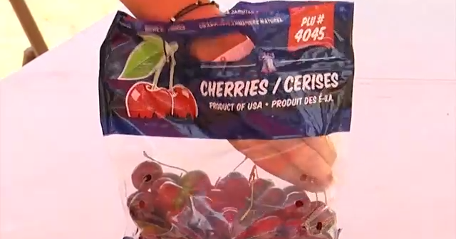 Cherry Pickers Trot and Pit Spit Race continues exciting Green Bluff ...