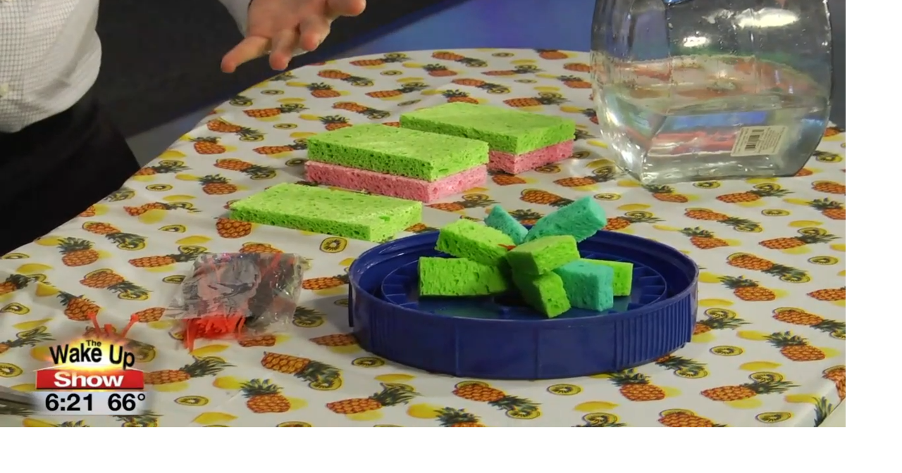 Splish Splash! Here's how you can make DIY water toys | Find It | khq.com