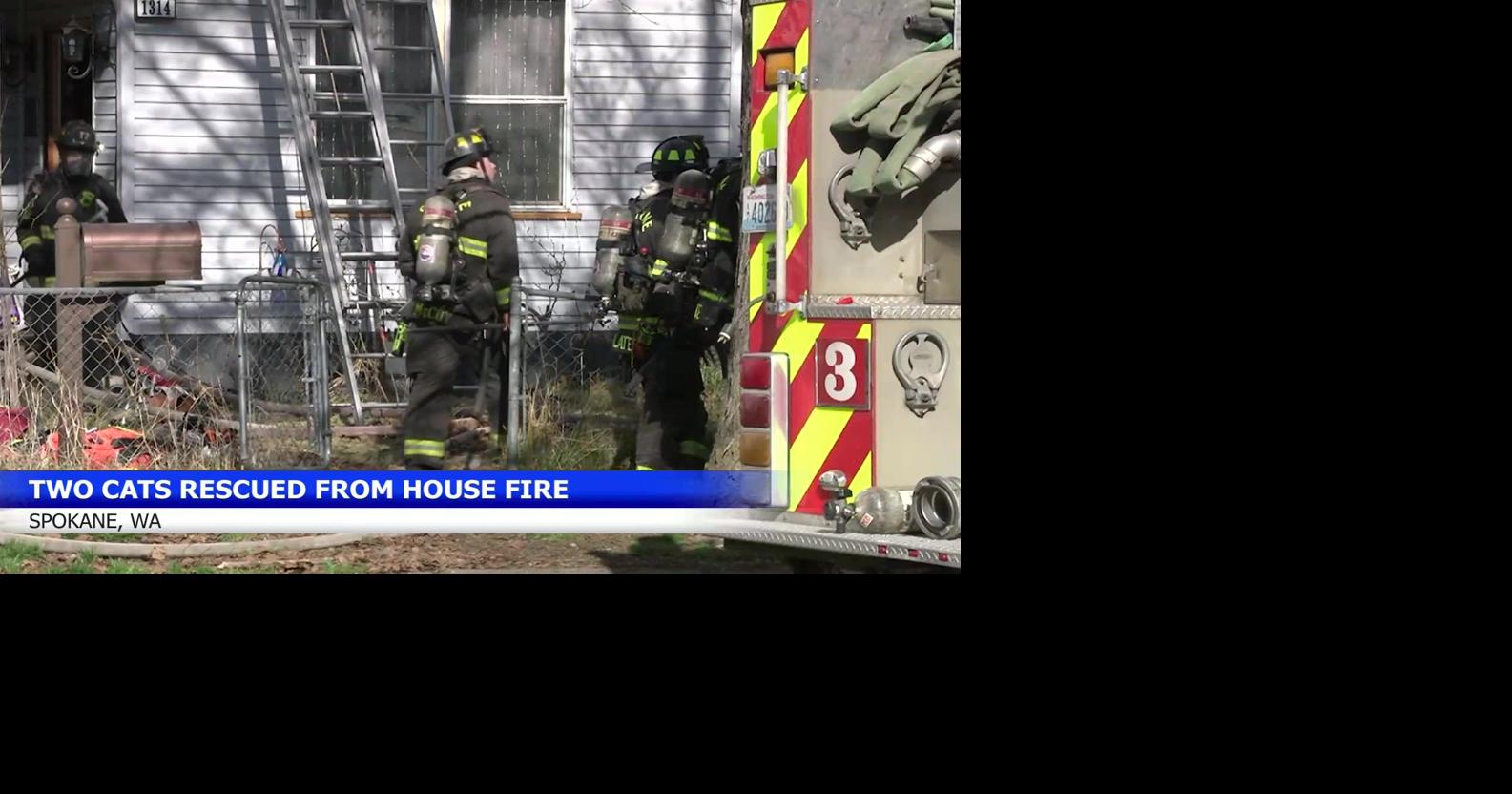 Spokane firefighters contain structure fire in single-family home, cat ...