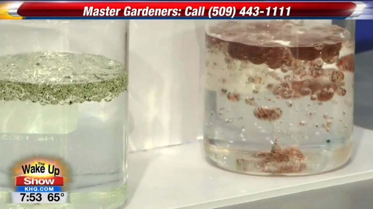 Extreme science with Radical Rick: Playing with food coloring | Extreme ...