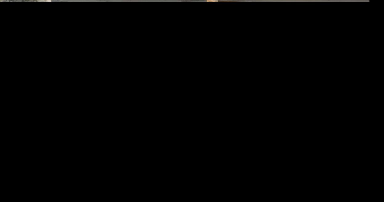 University of Idaho, Idaho State University basketball tradition ...