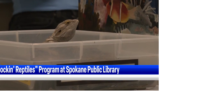 Rockin' Reptiles program at Spokane Public Library | STEM | khq.com