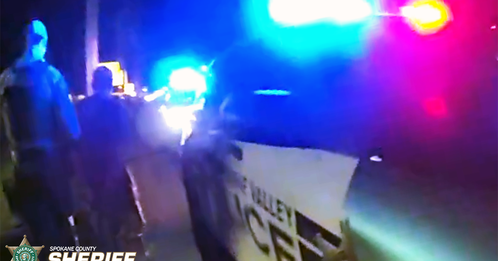 Suspect caught after $2,700 theft attempt at Spokane Valley store ...