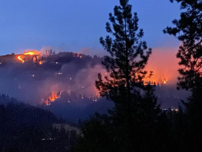 Whitetail Loop Fire burning 500 acres near Orofino, at least two homes ...