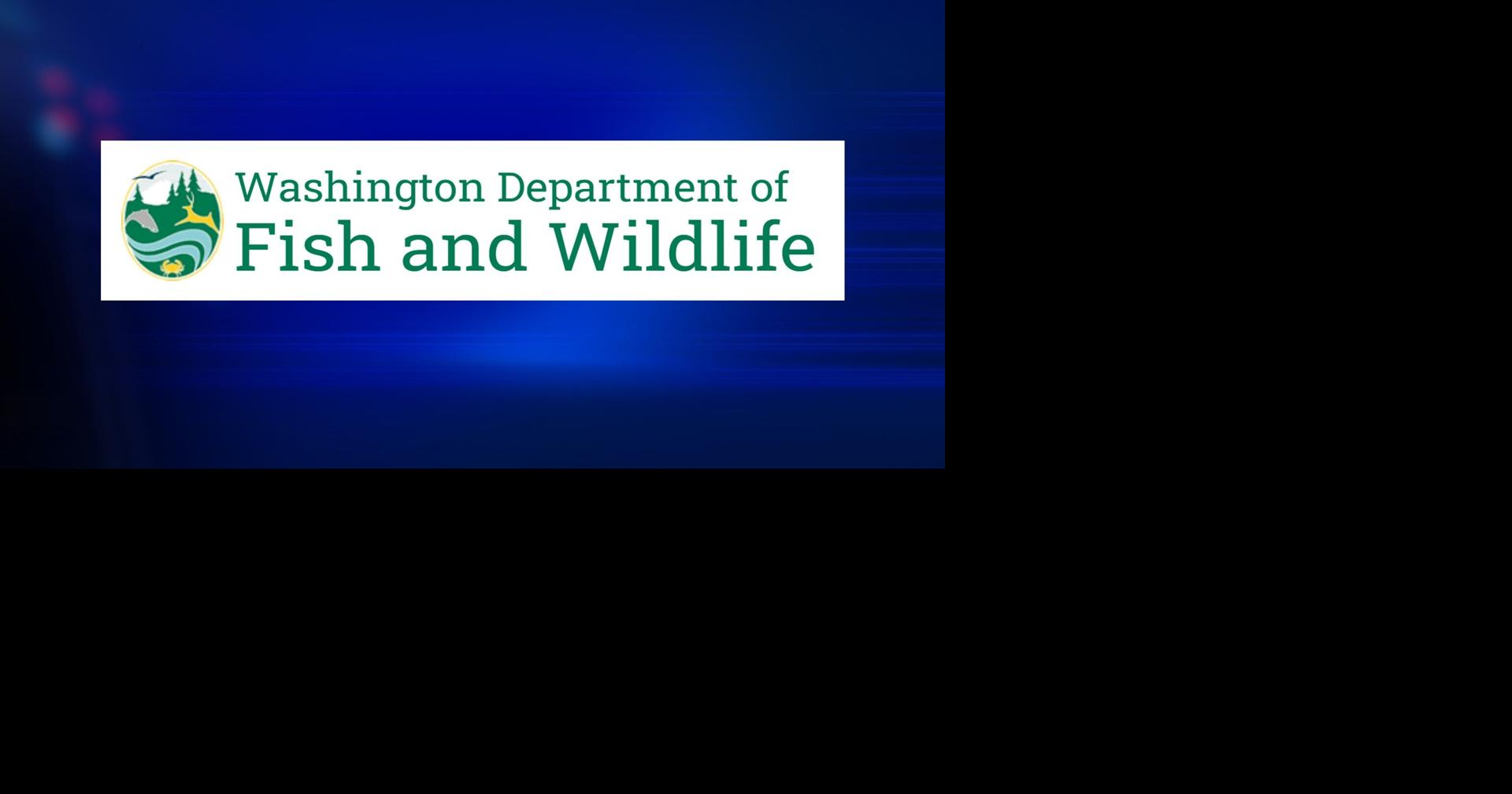 Washington Department of Fish and Wildlife logo **NONSTOP LOCAL | | khq.com