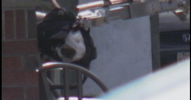 Sheriff: MLK Bomb Had Chemical Mixed With Shrapnel | Spokane News | khq.com