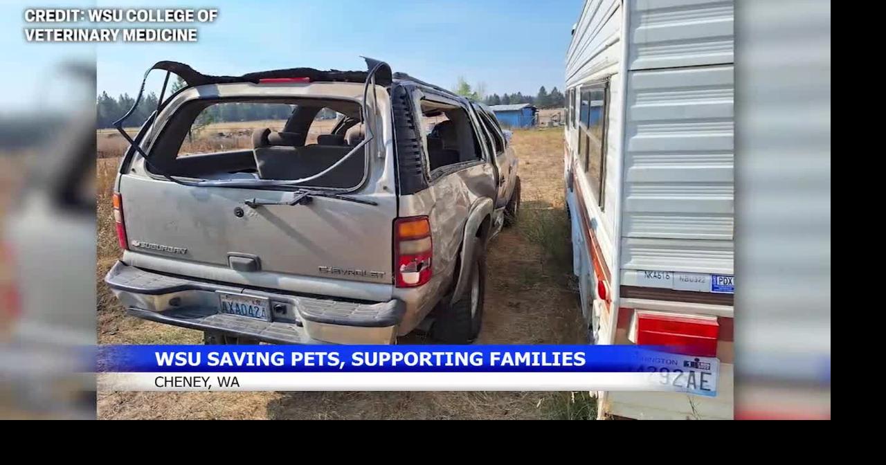 WSU veterinary program seeks community support for pet aid fund ...