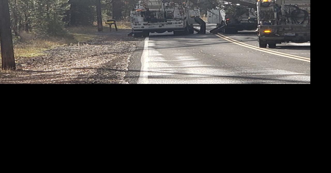 Tree falls on power line, takes out power for 800 Avista customers ...