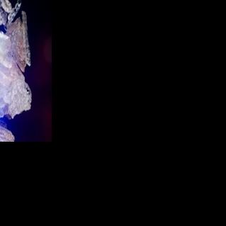 Montana state crime lab chemist charged with stealing meth | Spokane ...