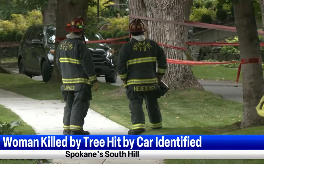 Woman dead after crash on Spokane's South Hill has been identified ...