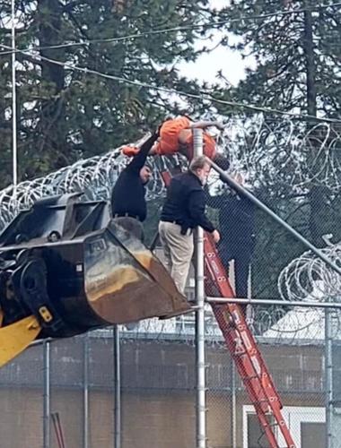 Multiple agencies work to recover BIA Corrections escapee | Spokane ...