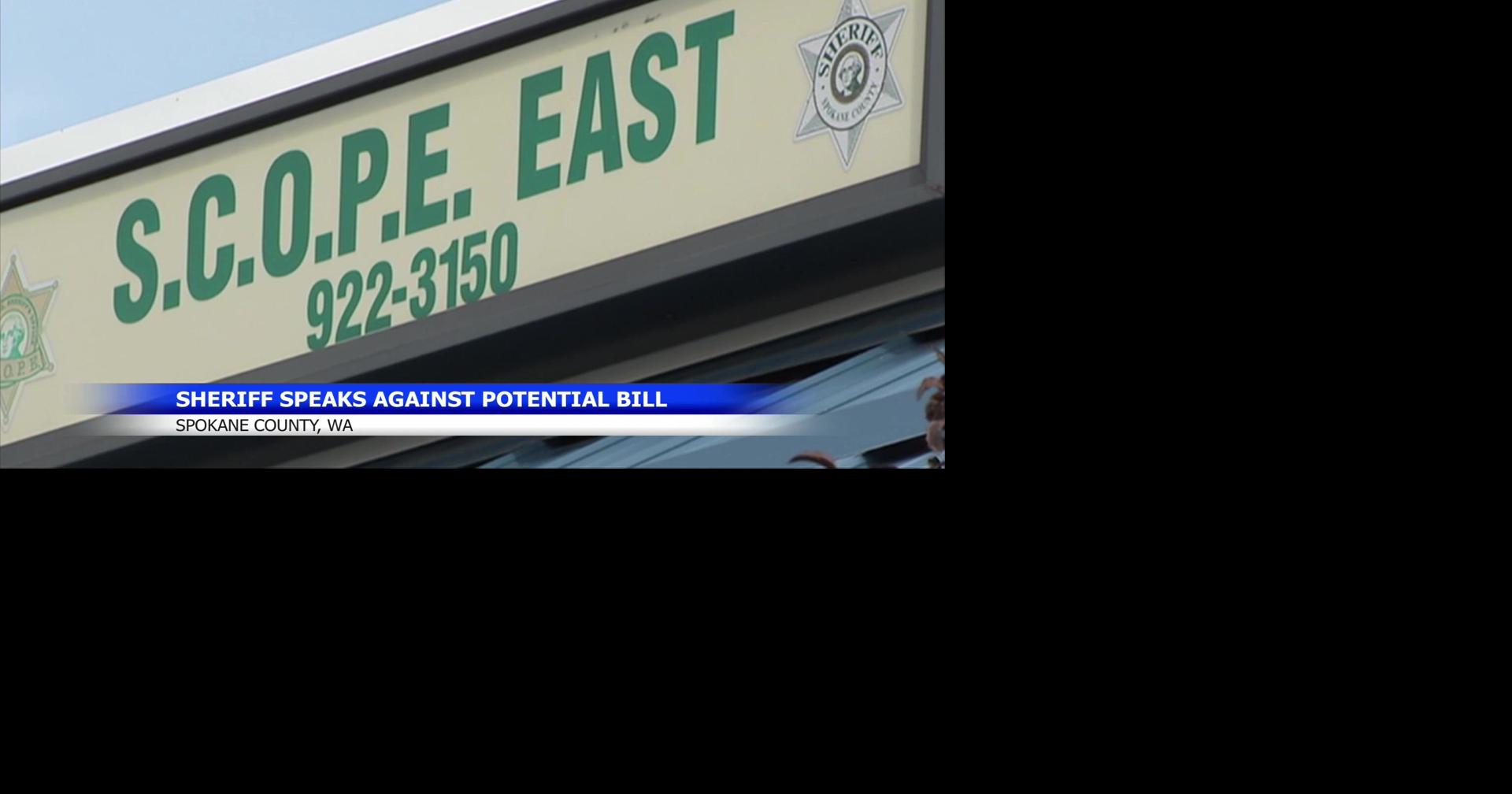 SCSO Sheriff among several speaking out against bill to change their ...