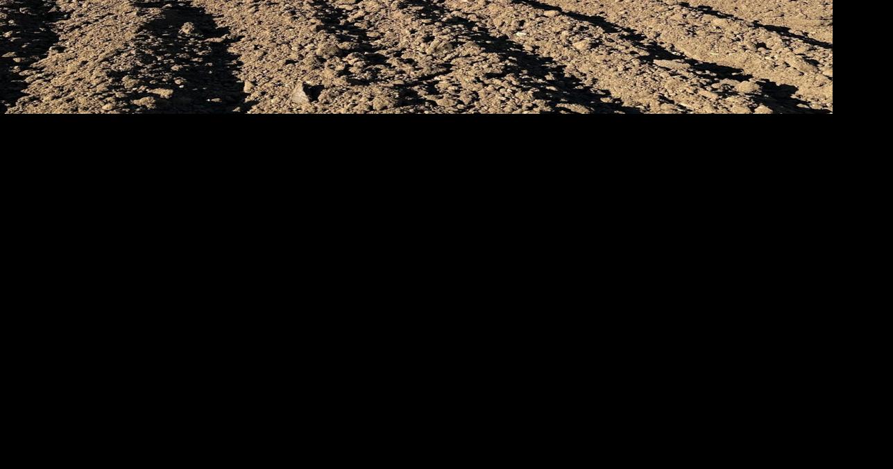 Ellensburg Rodeo to bring excitement and family fun this Labor Day ...