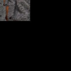 From Spokane to Los Angeles: How Maya Samaha entered the world of ...