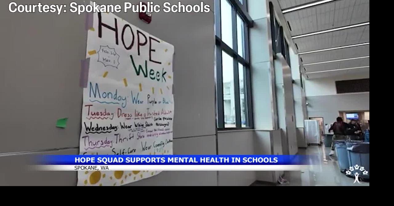 Lewis and Clark & Ferris High School's Hope Squad receive local awards ...