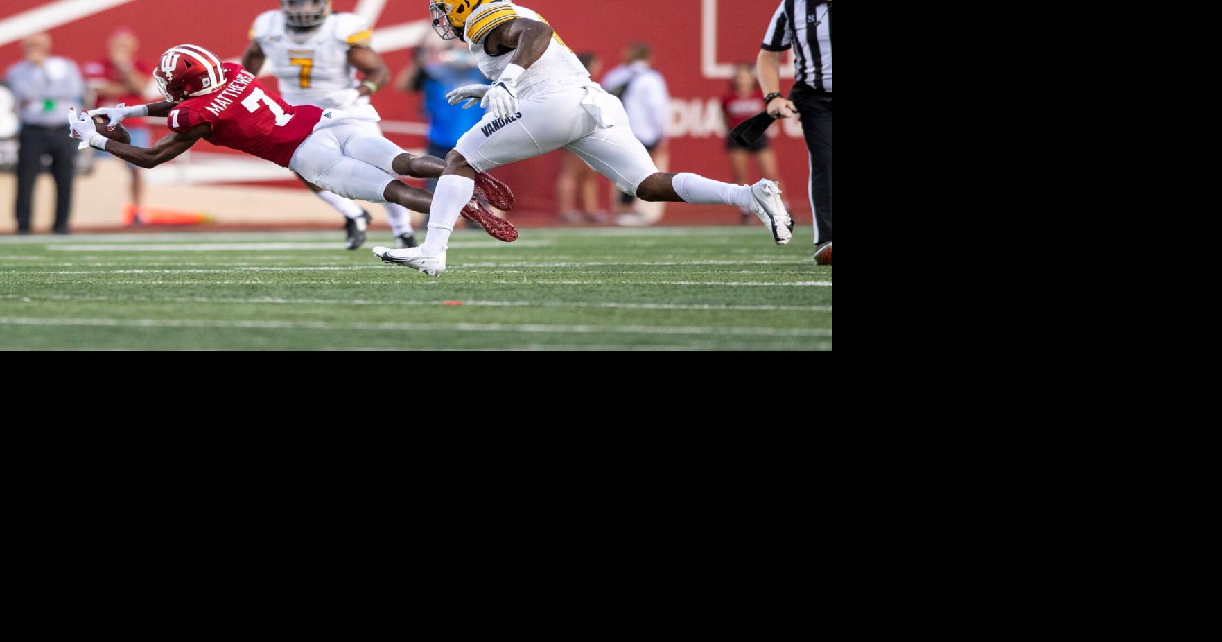 Linebacker Tre Walker highlights group of six Vandals at Idaho's pro ...