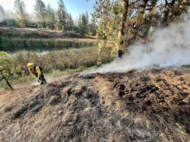 Firefighters extinguish small brush fire near Cheney Waste Water ...