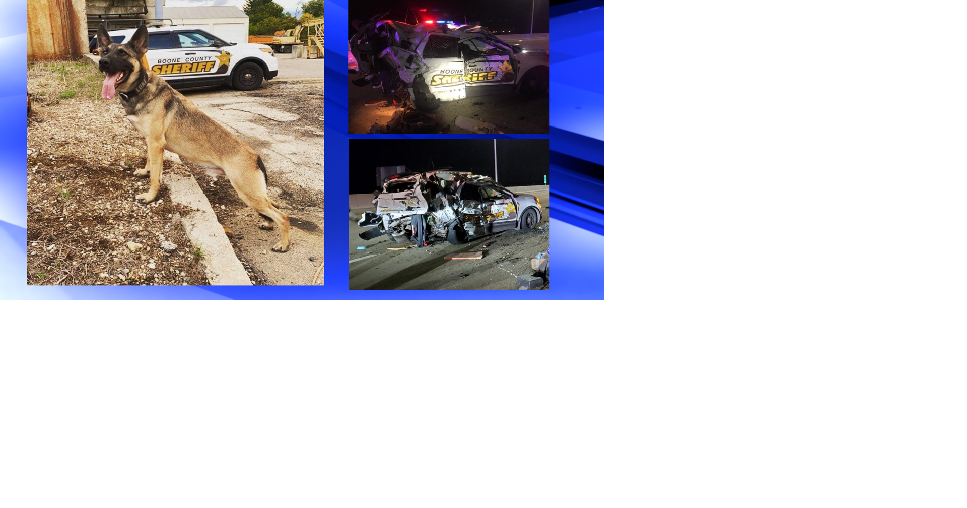 Illinois K9 killed after suspected drunk driver rams into patrol car ...