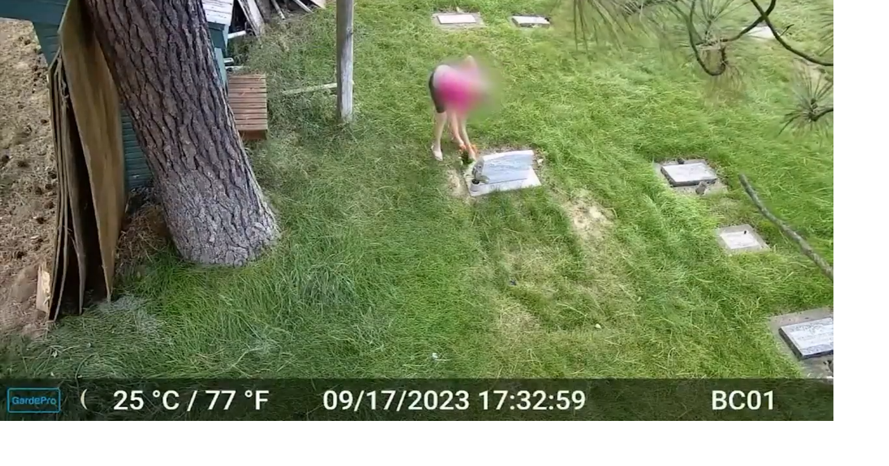 Family seeks answers after flowers at father's gravestone in Peone ...