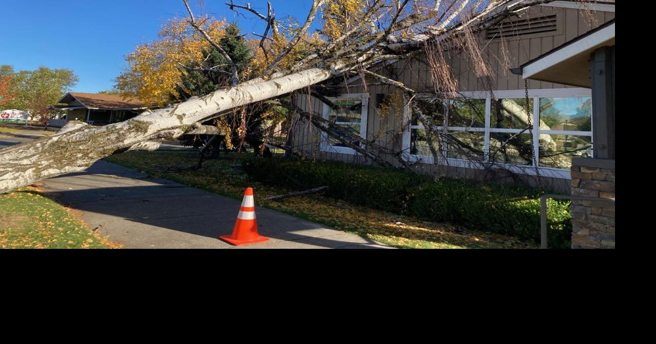 Viewers share damage from Friday night windstorm | Spokane News | khq.com