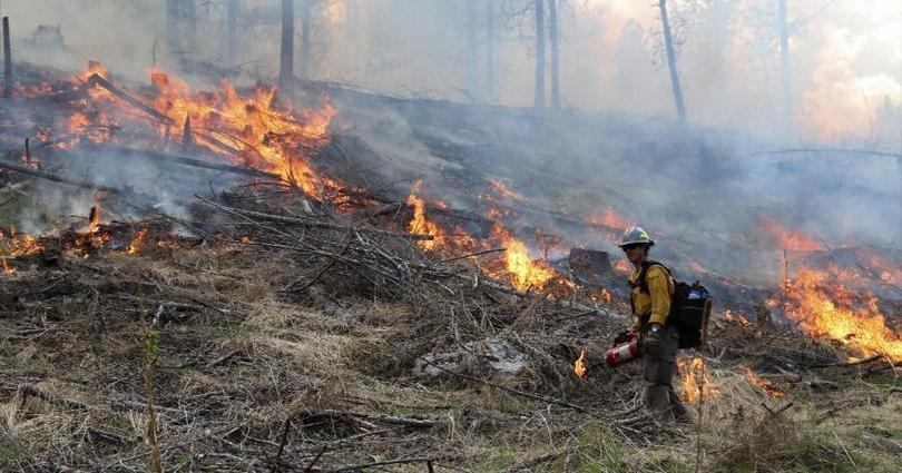 FIREWISE: How to protect your home from wildfires | Washington ...