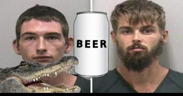 Florida man accused of forcing small alligator to drink beer | Spokane ...