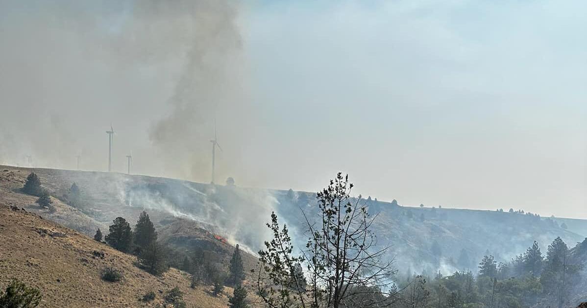 Deer find refuge near wind turbines as Newell Road Fire burns 60,000 ...