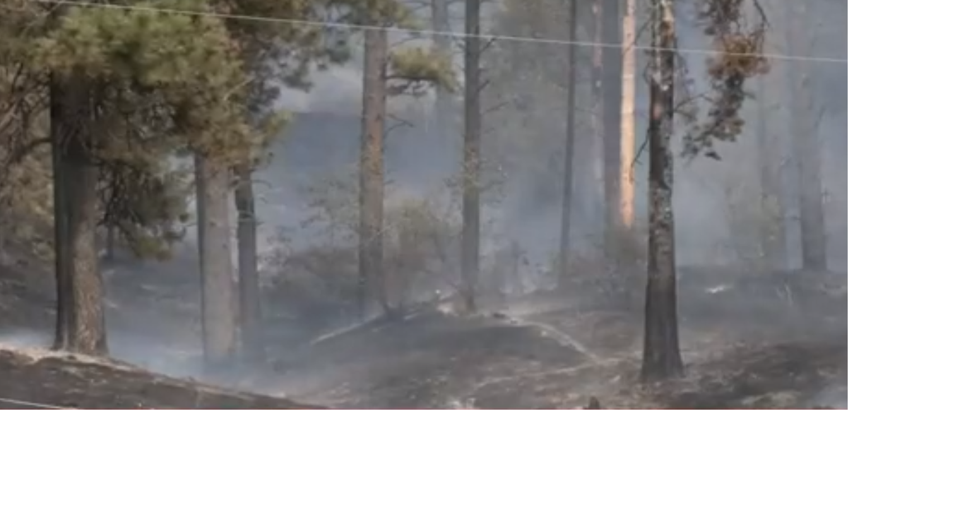 Firefighters stop second-alarm brushfire south of Spokane | Washington ...