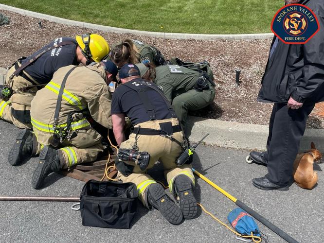 Dog trapped in storm drain rescued by Spokane Valley firefighters ...