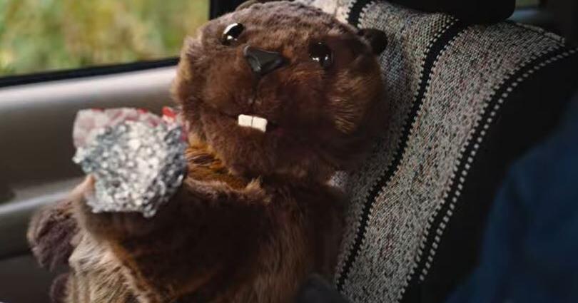 Marmot puppet stars in Washington's new anti-litter campaign | Spokane ...