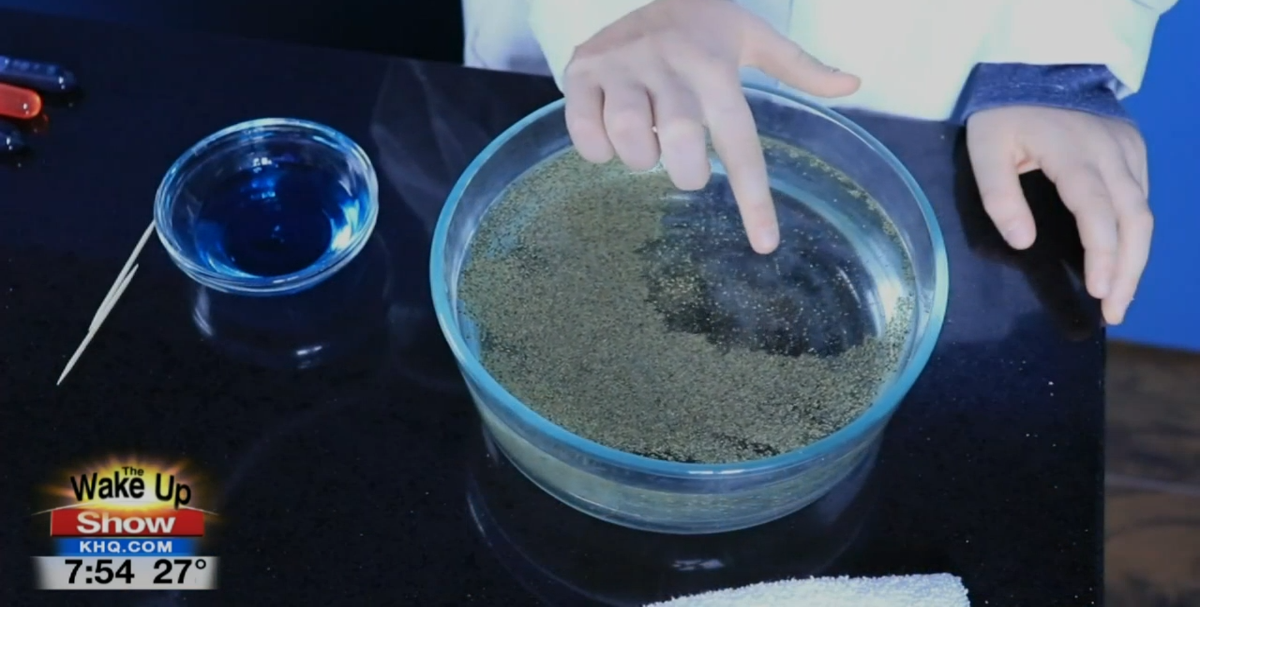 Extreme Science with Radical Rick: Hand Washing | Extreme Science | khq.com