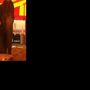 Shrine Circus met with controversy | Spokane News | khq.com