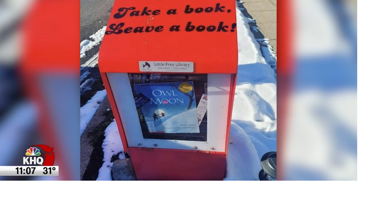 'Who steals from kids' – security camera catches little free library ...
